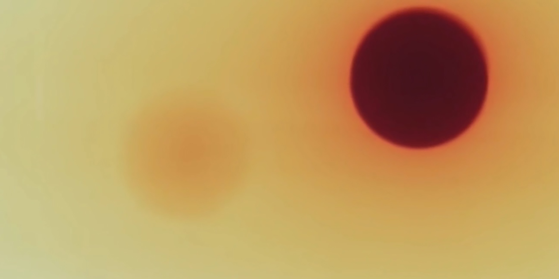 Projects – Brandon Bauer